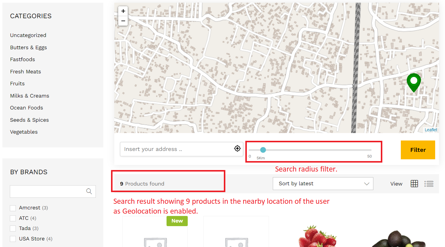 Geolocation | WCFM Documentation